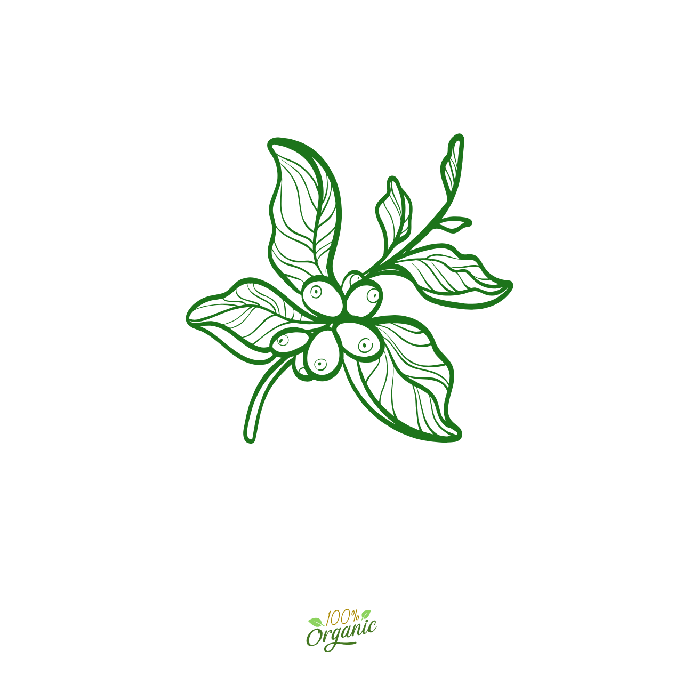 www.alfabean.com
